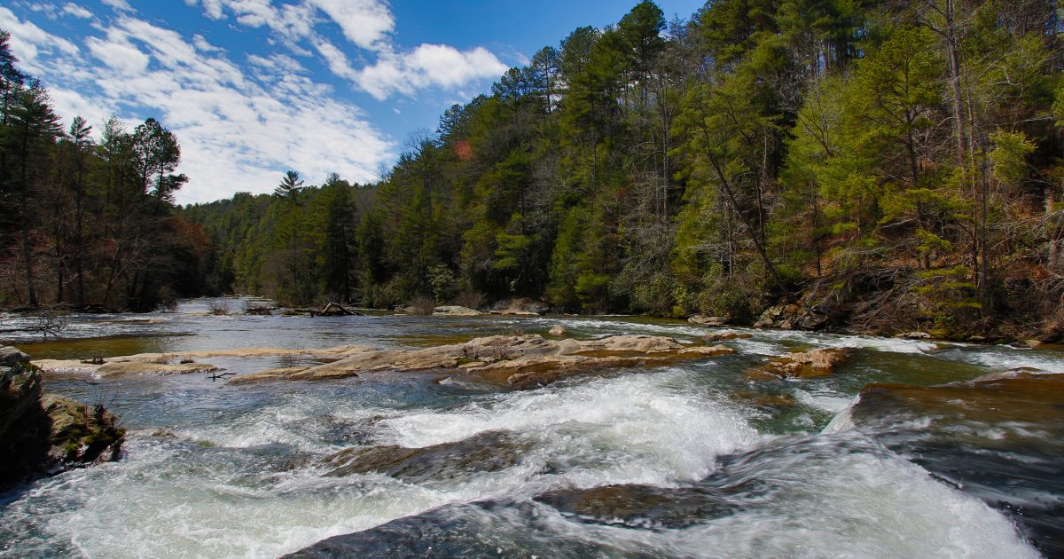 Maps & Brochures | Destination Dawsonville