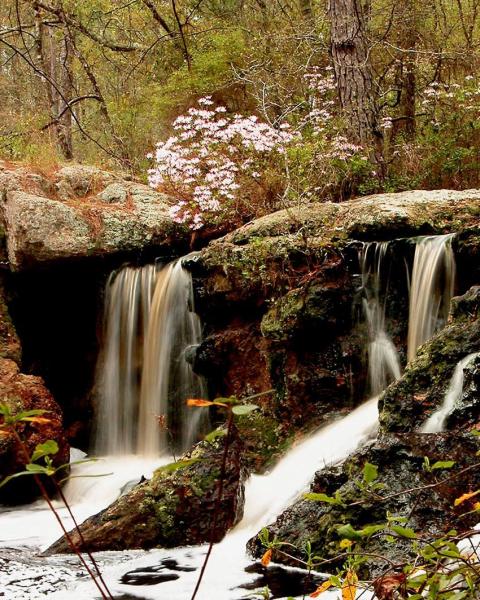 Dawsonville, GA Office of Tourism | Destination Dawsonville